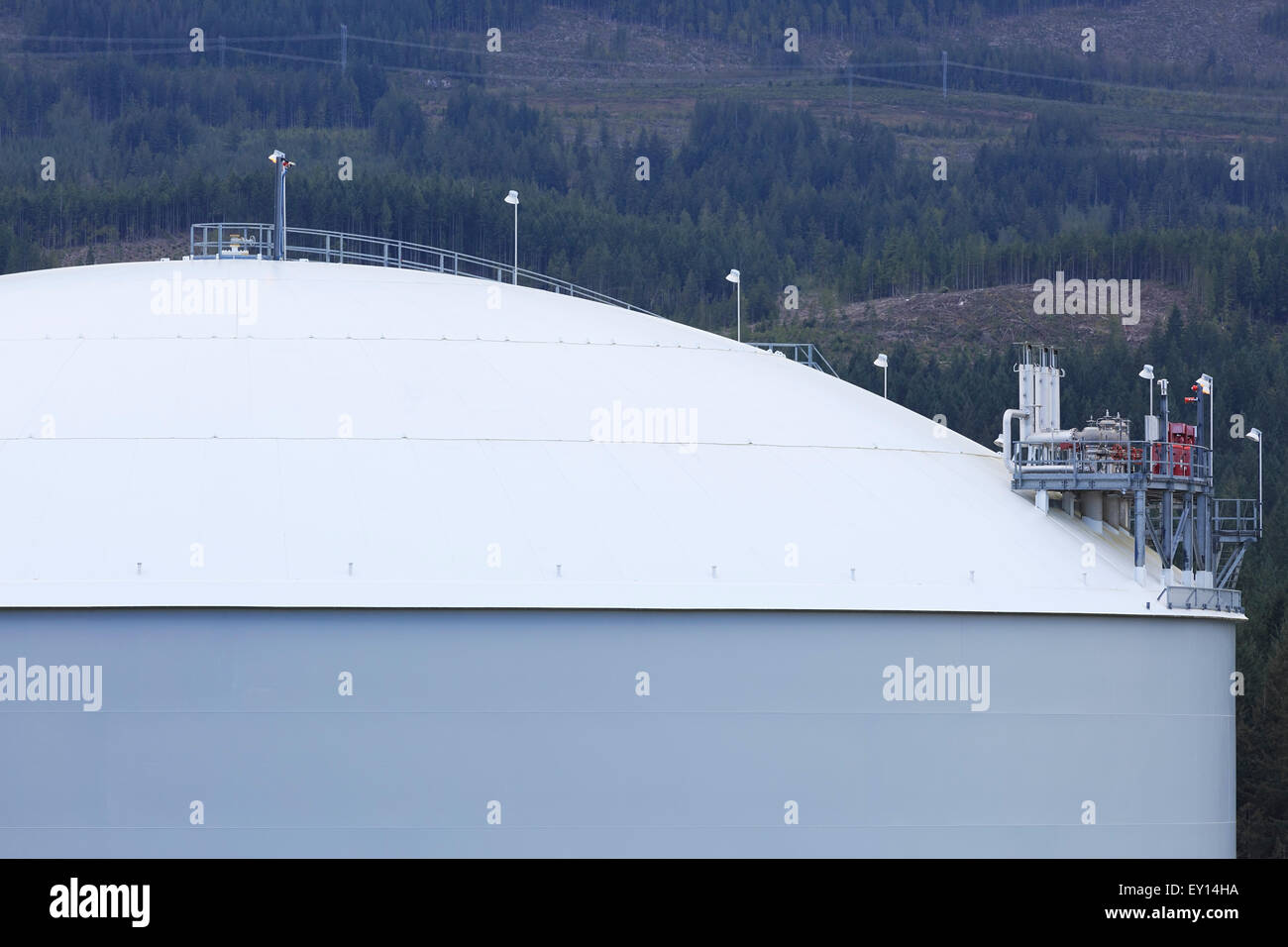 Fortis bc -Fotos und -Bildmaterial in hoher Auflösung – Alamy