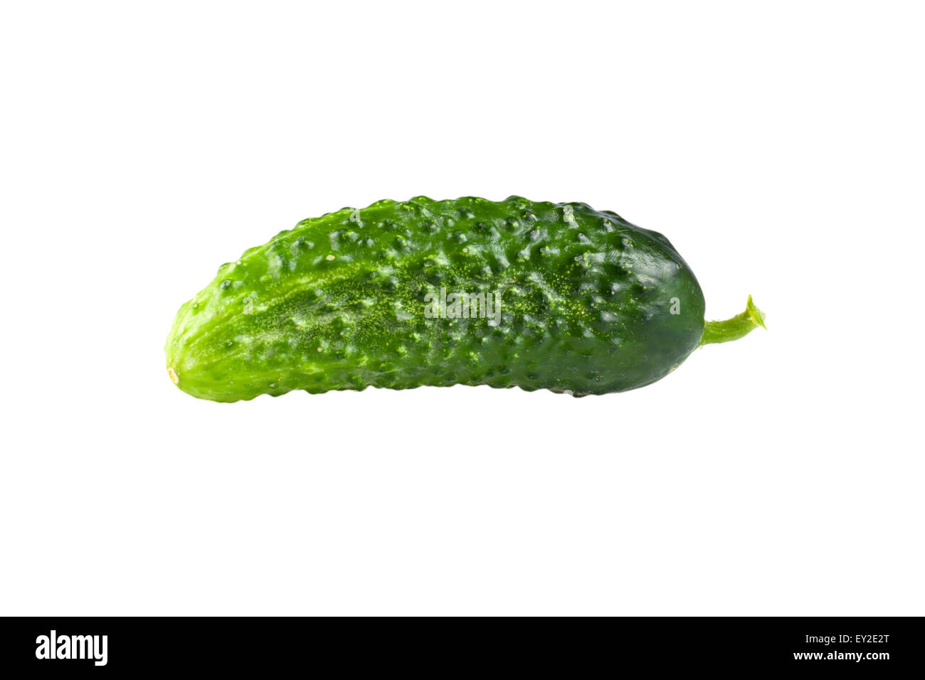 Weiße gurke -Fotos und -Bildmaterial in hoher Auflösung – Alamy