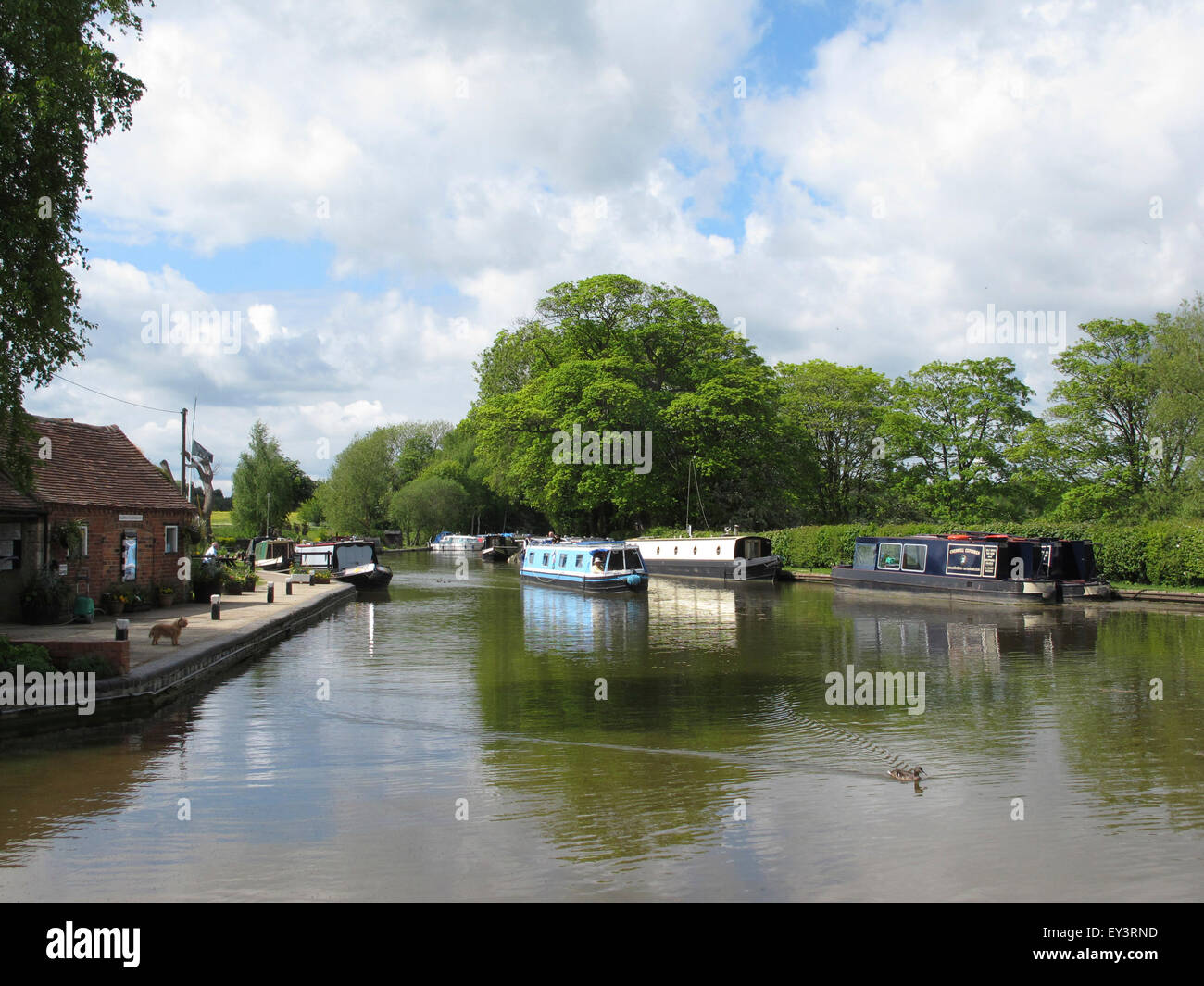 Thrupp kanal -Fotos und -Bildmaterial in hoher Auflösung – Alamy