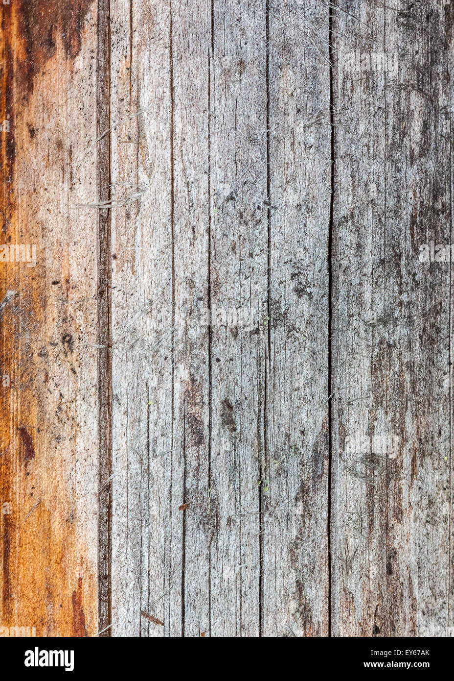 Wood surface texture -Fotos und -Bildmaterial in hoher Auflösung – Alamy