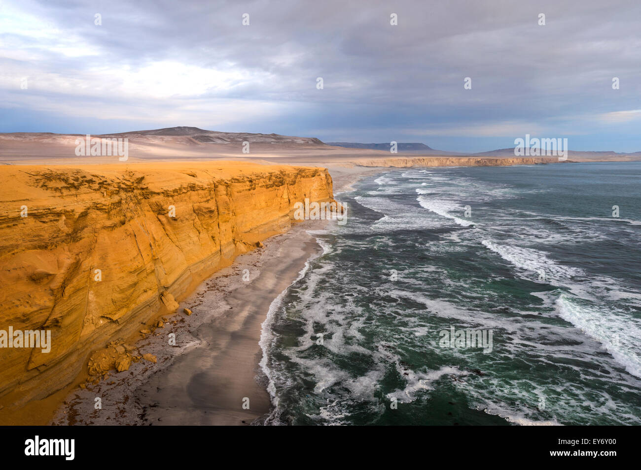 Vogel paracas naturreservat peru -Fotos und -Bildmaterial in hoher ...