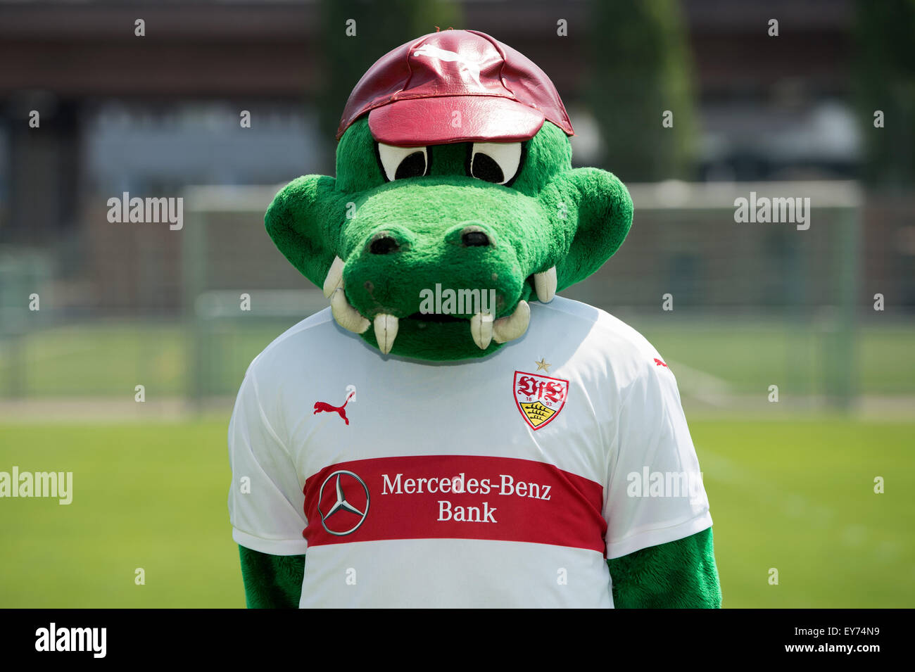 Mascot fritzle vfb stuttgart -Fotos und -Bildmaterial in hoher ...