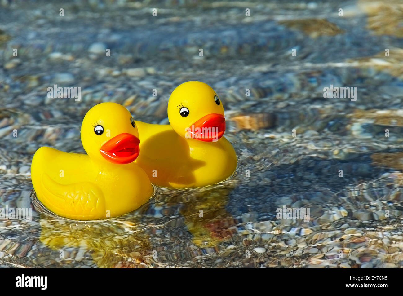 Zwei Quietscheentchen Schwimmen im Ägäischen Meer Stockfotografie - Alamy