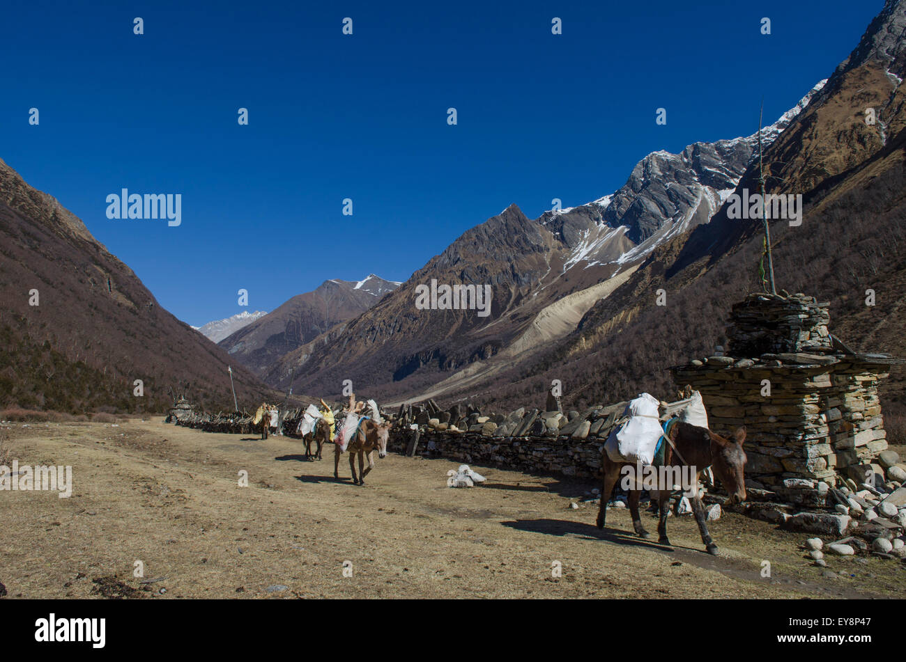Das Dorf Samdo im oberen Nubri Tal des Manaslu Circuit Trek ...