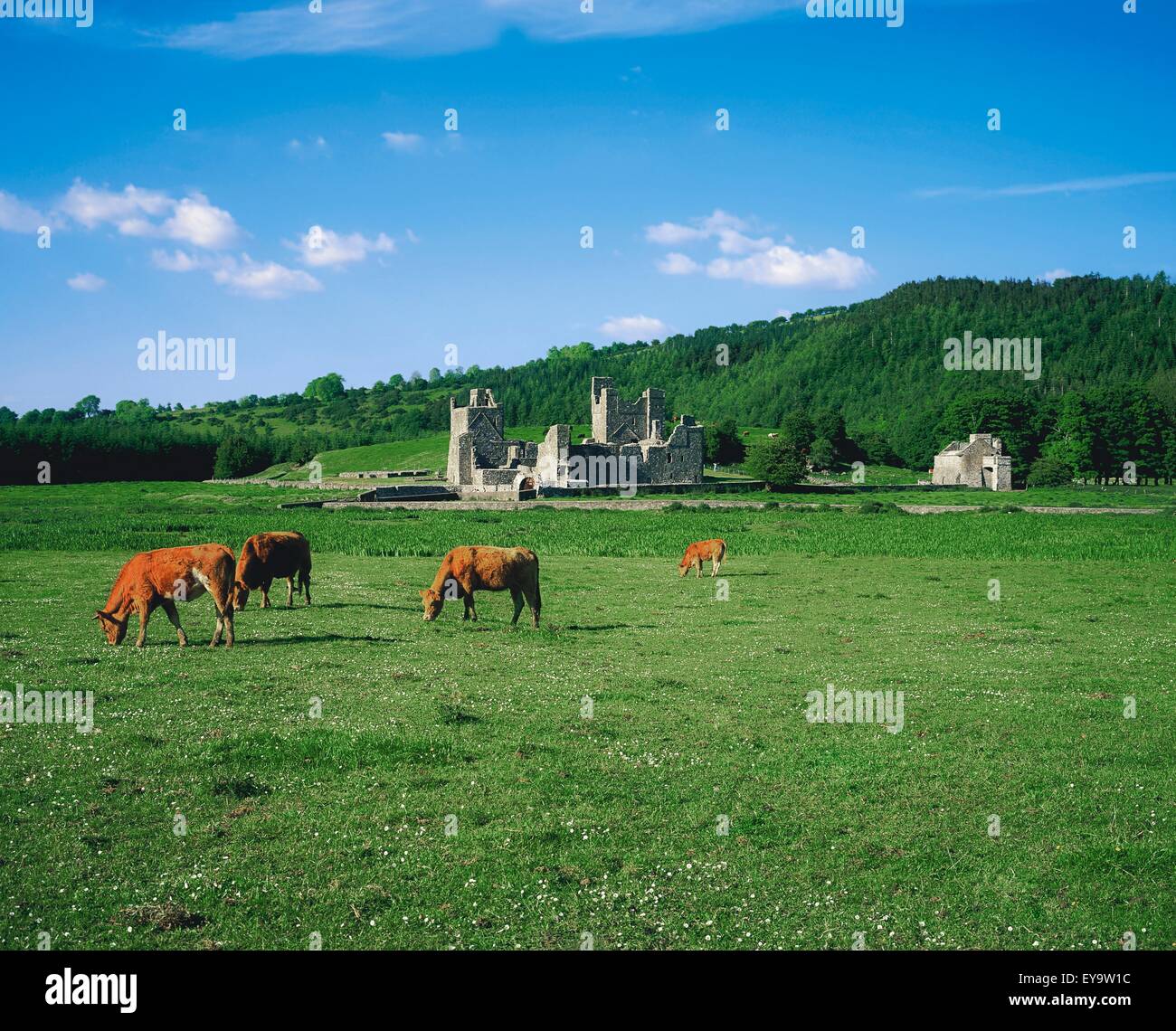 Fore valley ireland -Fotos und -Bildmaterial in hoher Auflösung – Alamy