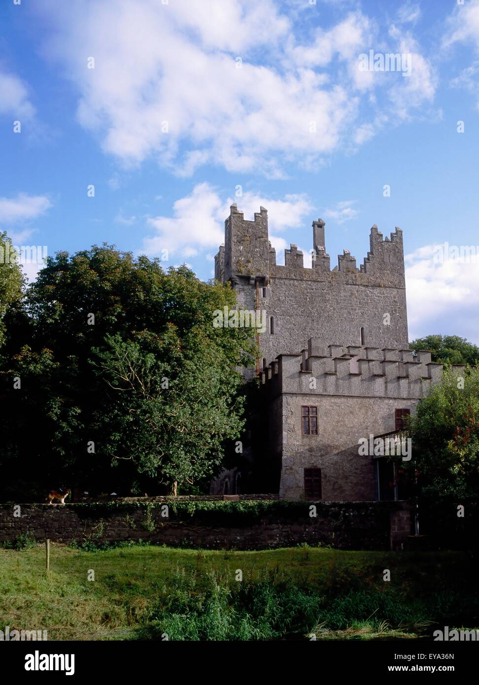 Castle matrix county limerick ireland -Fotos und -Bildmaterial in hoher ...