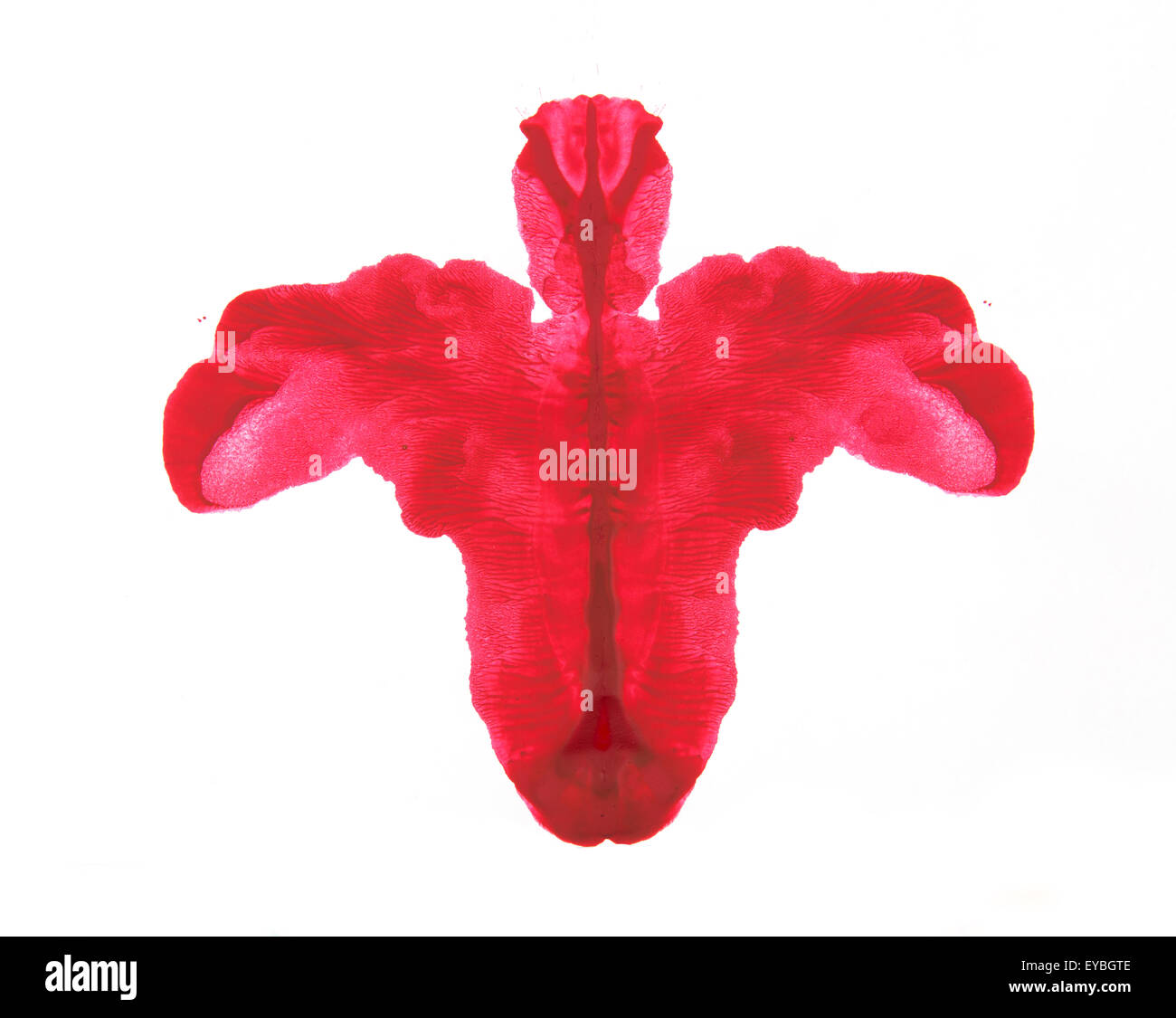 Rorschach blot test -Fotos und -Bildmaterial in hoher Auflösung – Alamy
