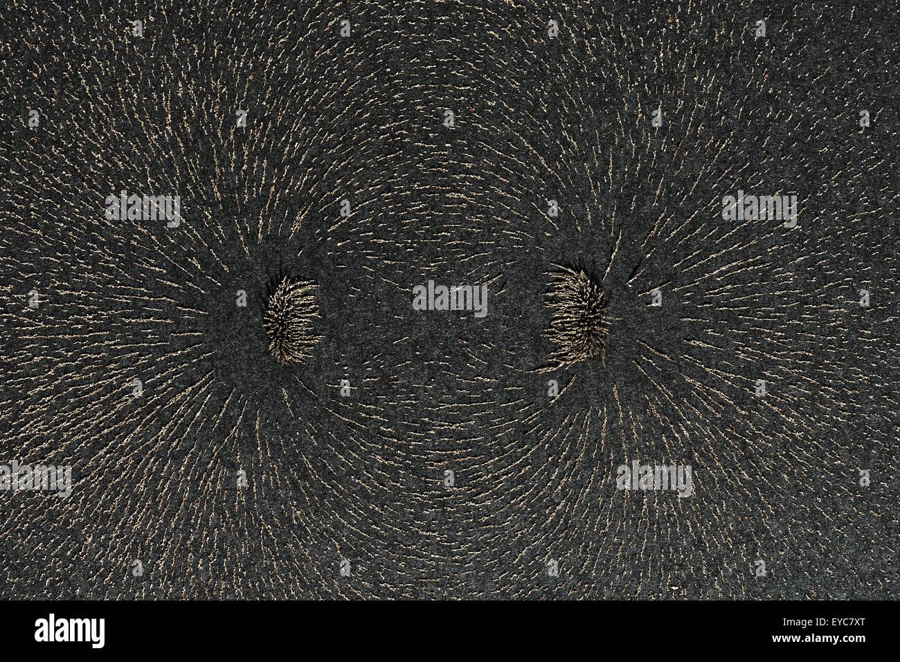 Magnetfeld eines stabmagneten -Fotos und -Bildmaterial in hoher ...