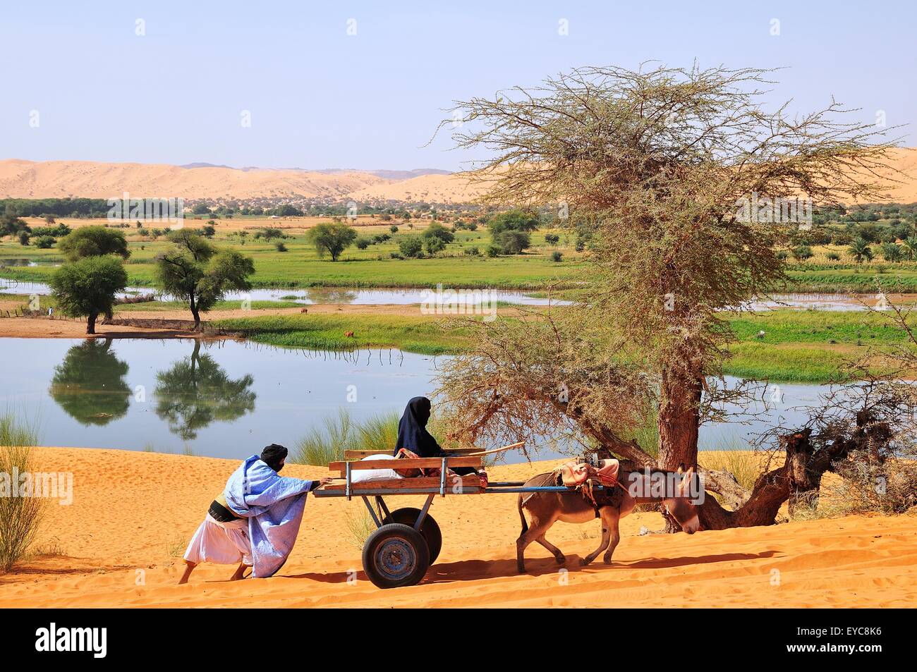 Tagant region -Fotos und -Bildmaterial in hoher Auflösung – Alamy