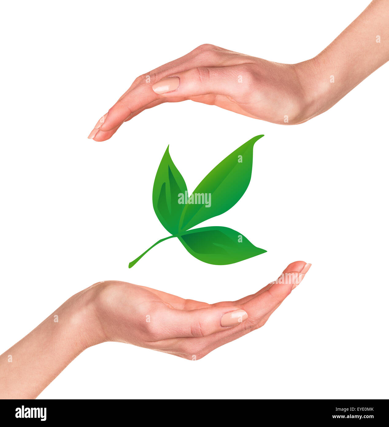 Nat symbol -Fotos und -Bildmaterial in hoher Auflösung – Alamy