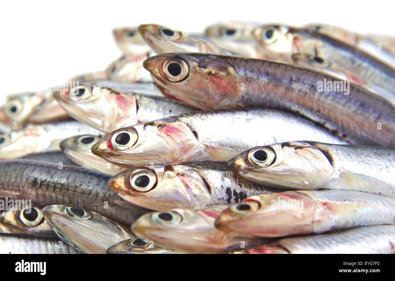 Prepared fish -Fotos und -Bildmaterial in hoher Auflösung – Alamy