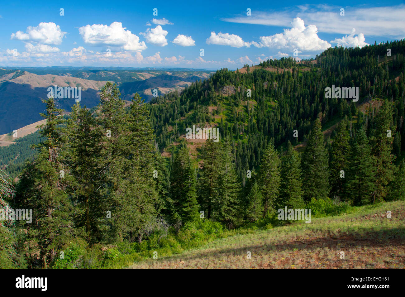 Hells Canyon von Hells Canyon Overlook, Hells Canyon National ... Hells Canyon von Hells Canyon Overlook, Hells Canyon National ...