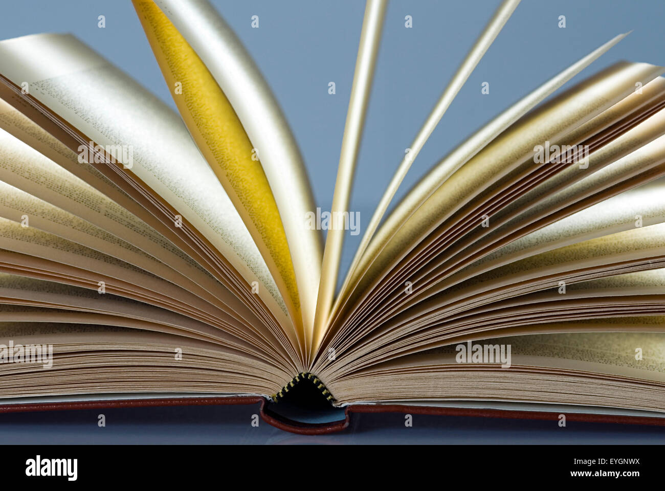 Folded shape -Fotos und -Bildmaterial in hoher Auflösung – Alamy