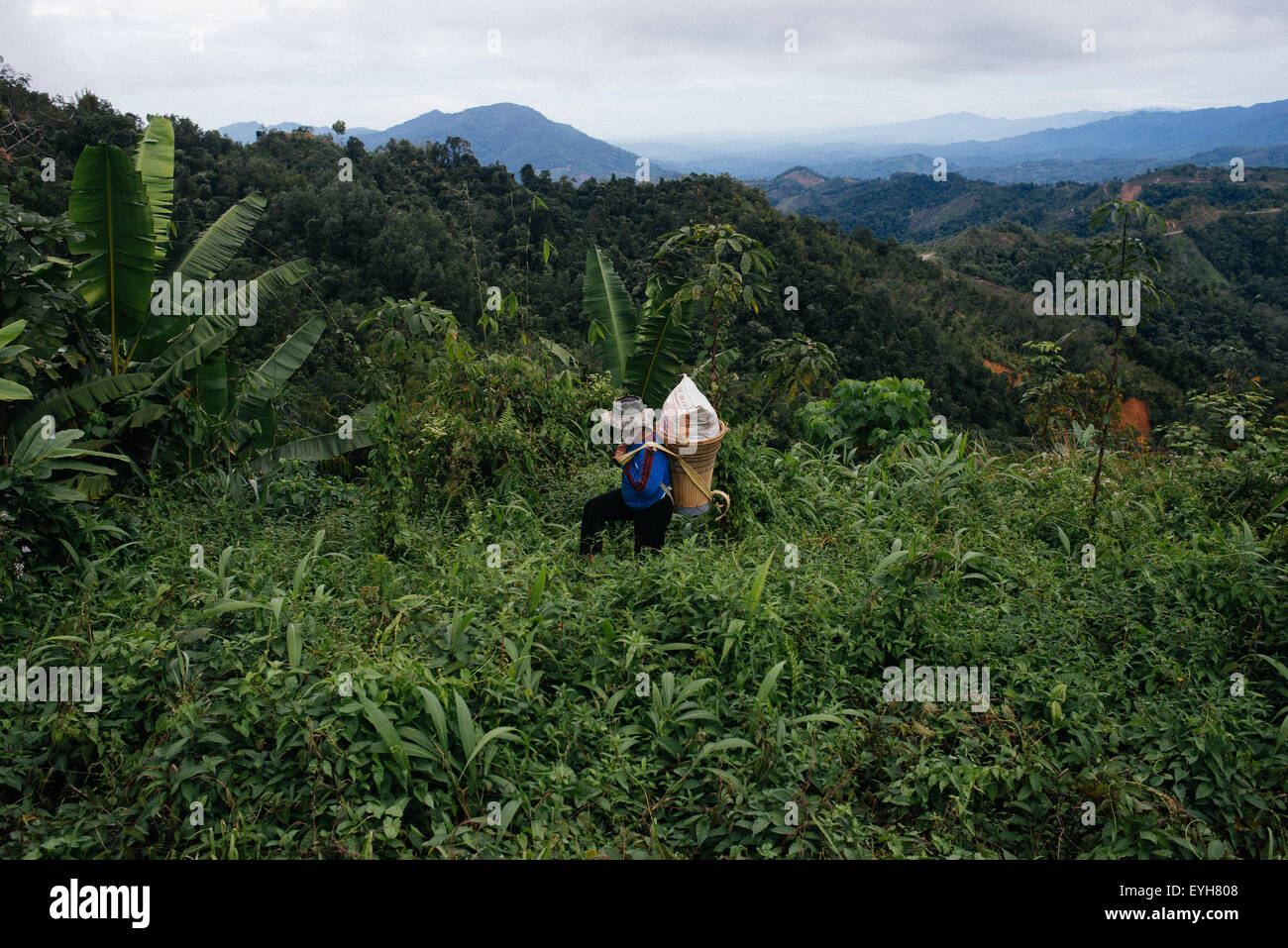 Kadazan dusun -Fotos und -Bildmaterial in hoher Auflösung – Alamy