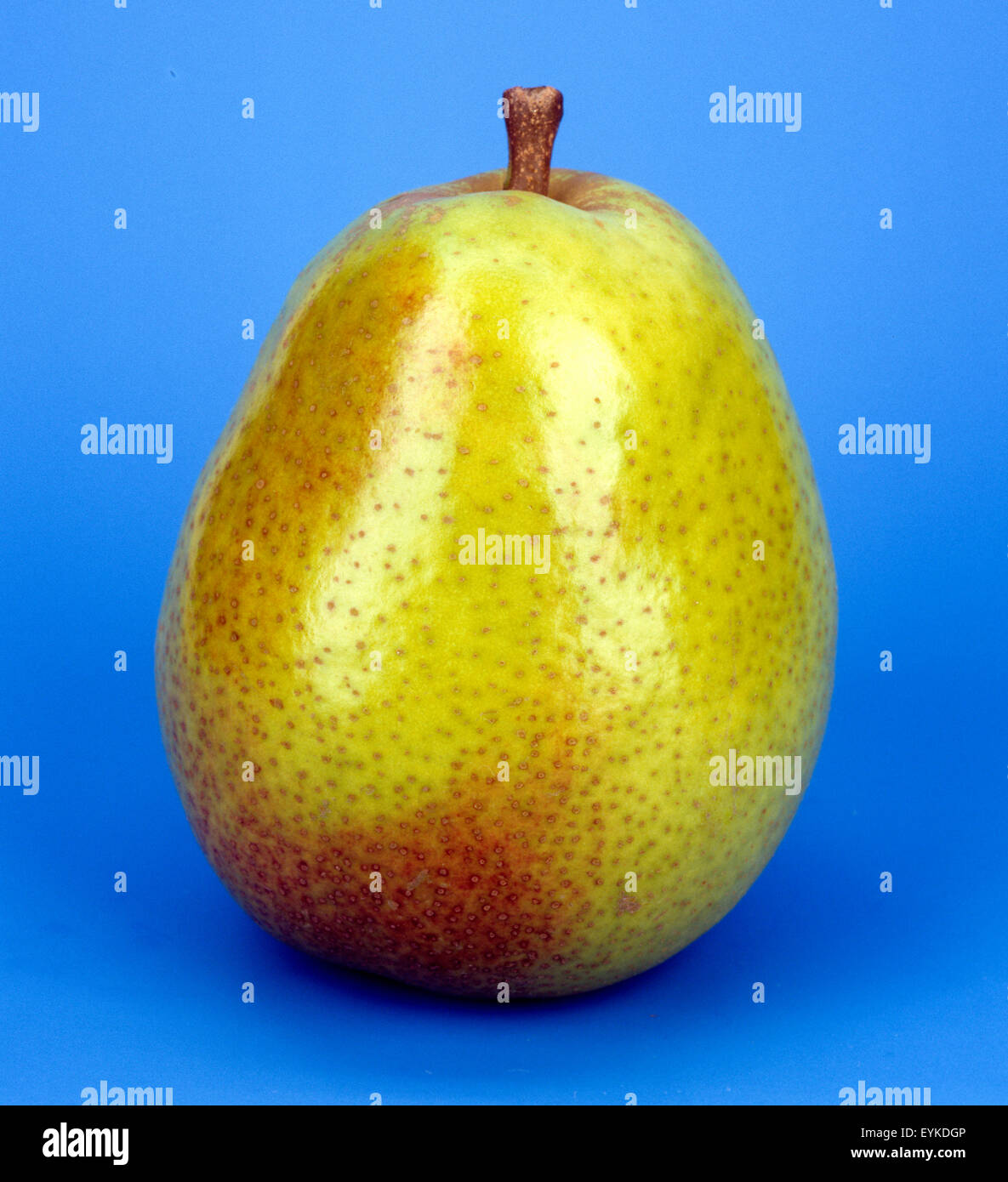 Alexander Lucas; Birne; Birnensorte, Birne, Kernobst, Obst ...