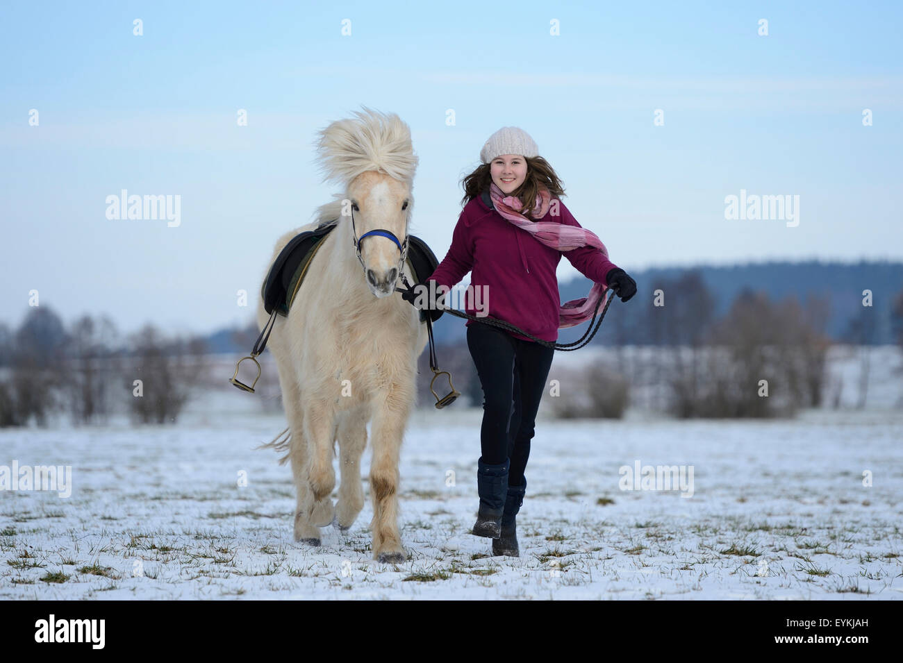 Teenagerin, Isländer, Pferd, Ganzkörper, Kamera gehen, Kopf, Blick ...
