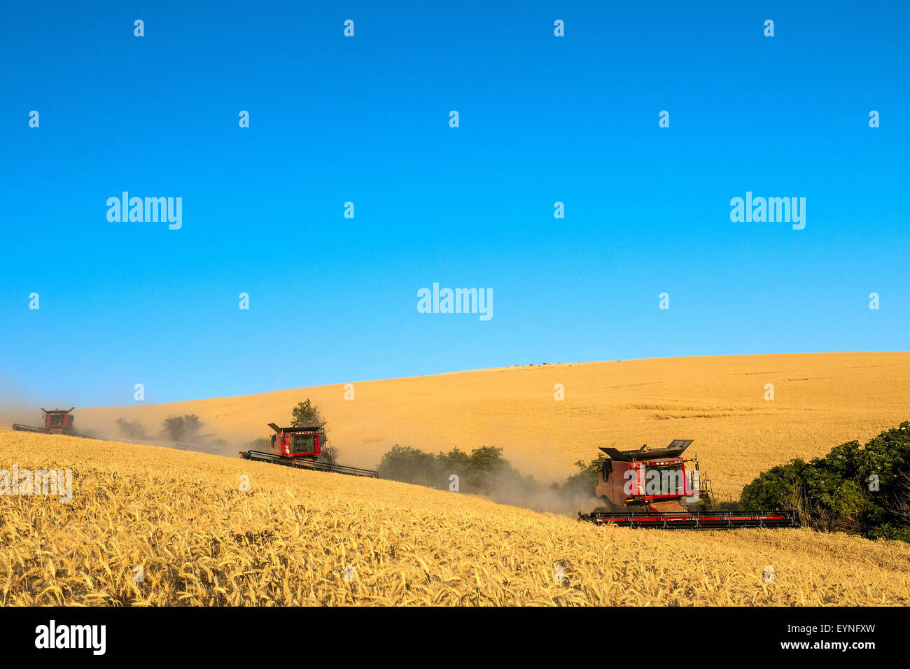 Weizen ernte usa -Fotos und -Bildmaterial in hoher Auflösung – Alamy