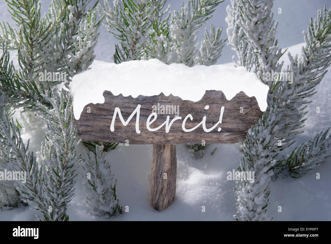 Weihnachten Zeichen Schnee Tanne Baum bedeutet Merci danke ...