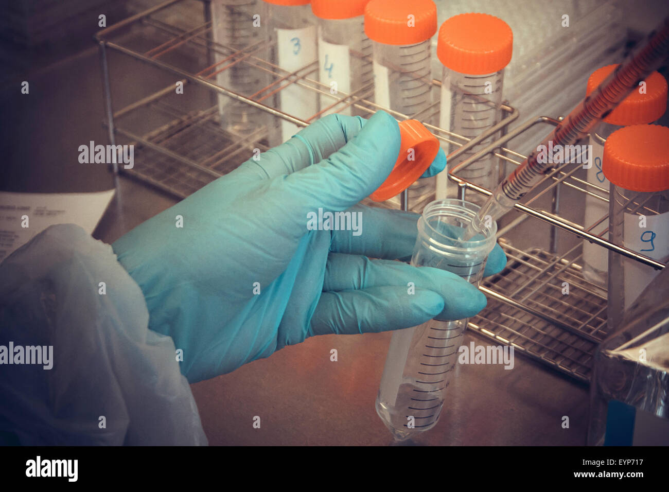 Sample plate -Fotos und -Bildmaterial in hoher Auflösung – Alamy