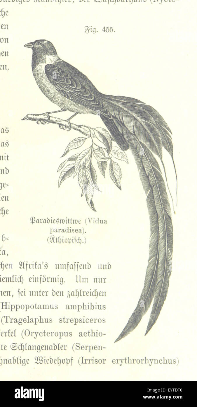 Dieses Bild aus „Unser Wissen von der Erde“ zeigt eine detaillierte Karte oder Illustration der ...