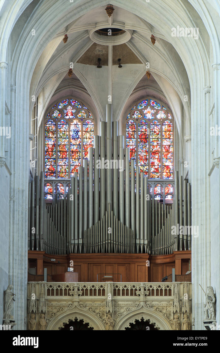 Saint rumbolds turm -Fotos und -Bildmaterial in hoher Auflösung – Alamy