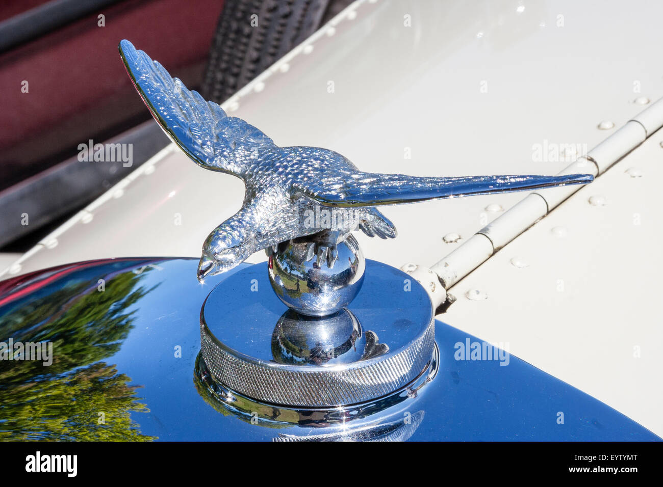 Adler vintage car -Fotos und -Bildmaterial in hoher Auflösung – Alamy