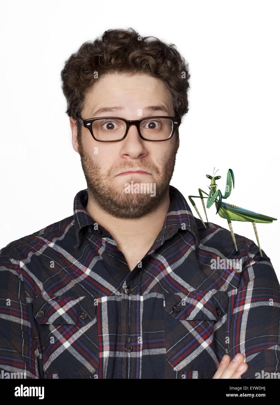 Kung fu panda mantis -Fotos und -Bildmaterial in hoher Auflösung – Alamy