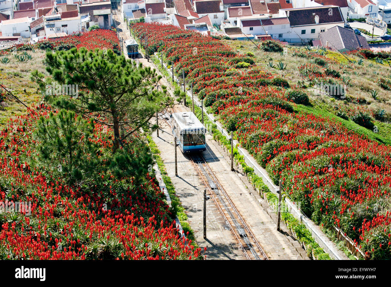 Die Standseilbahn in Betrieb bei dem Küstenort in Nazare, Portugal ...