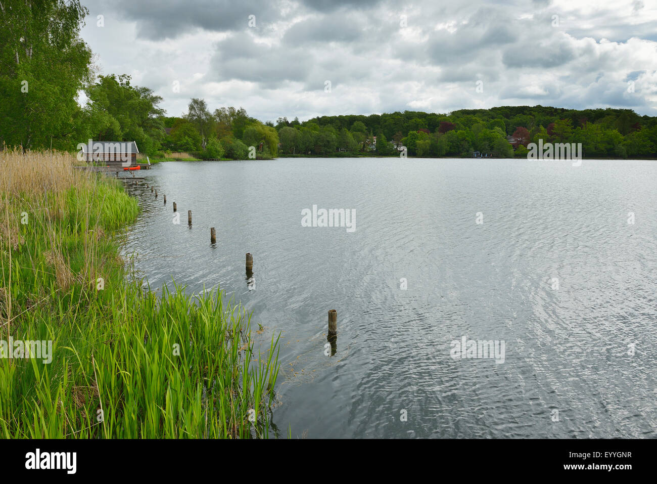 See wesslingersee -Fotos und -Bildmaterial in hoher Auflösung – Alamy