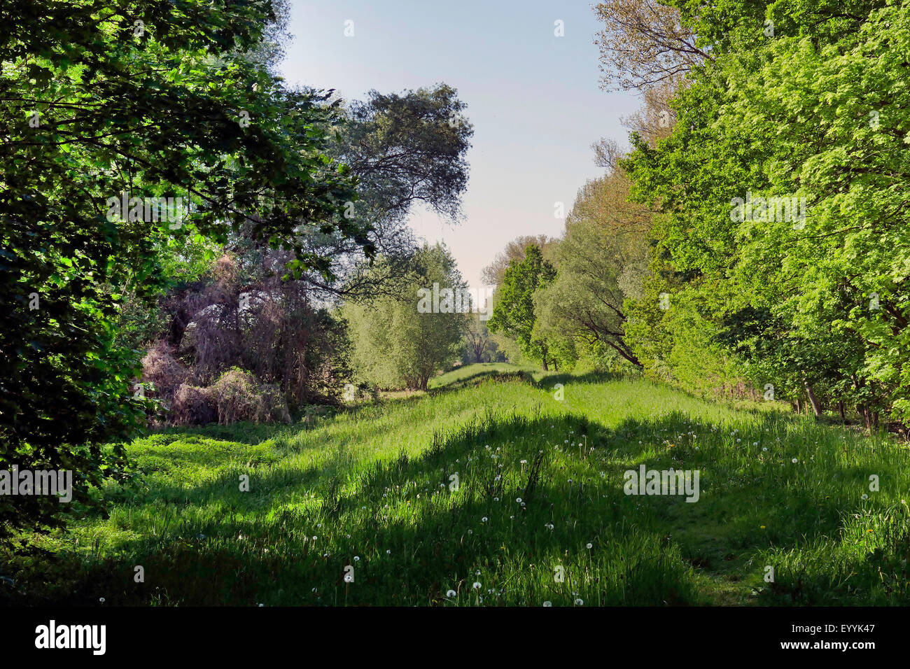 Deich deutschland -Fotos und -Bildmaterial in hoher Auflösung – Alamy