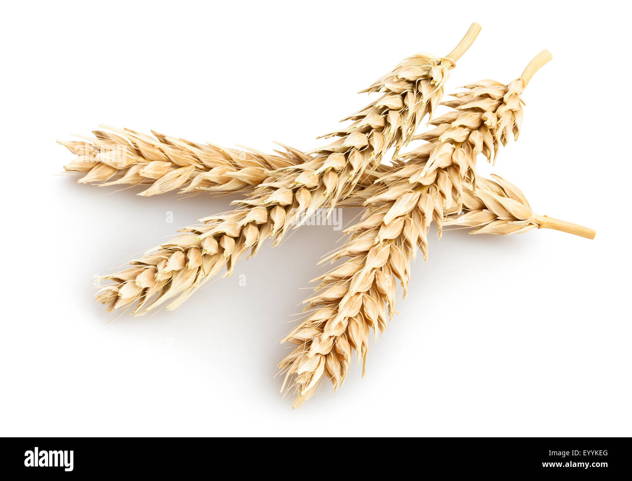 Dort weizen Stockfotos und -bilder Kaufen - Alamy