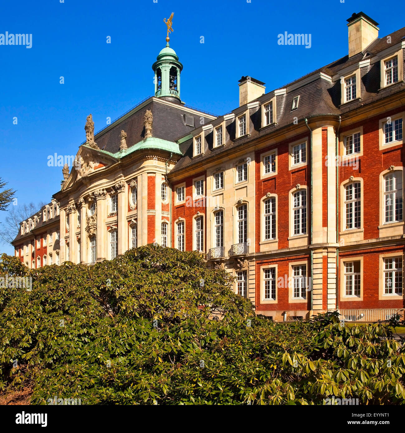 University of muenster -Fotos und -Bildmaterial in hoher Auflösung – Alamy