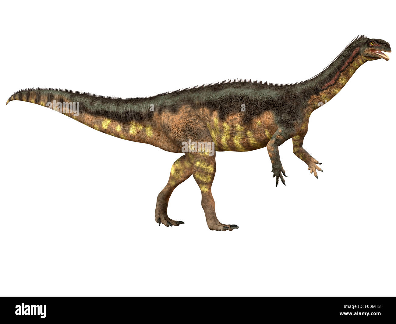 Plateosaurus plateosaurus -Fotos und -Bildmaterial in hoher Auflösung ...