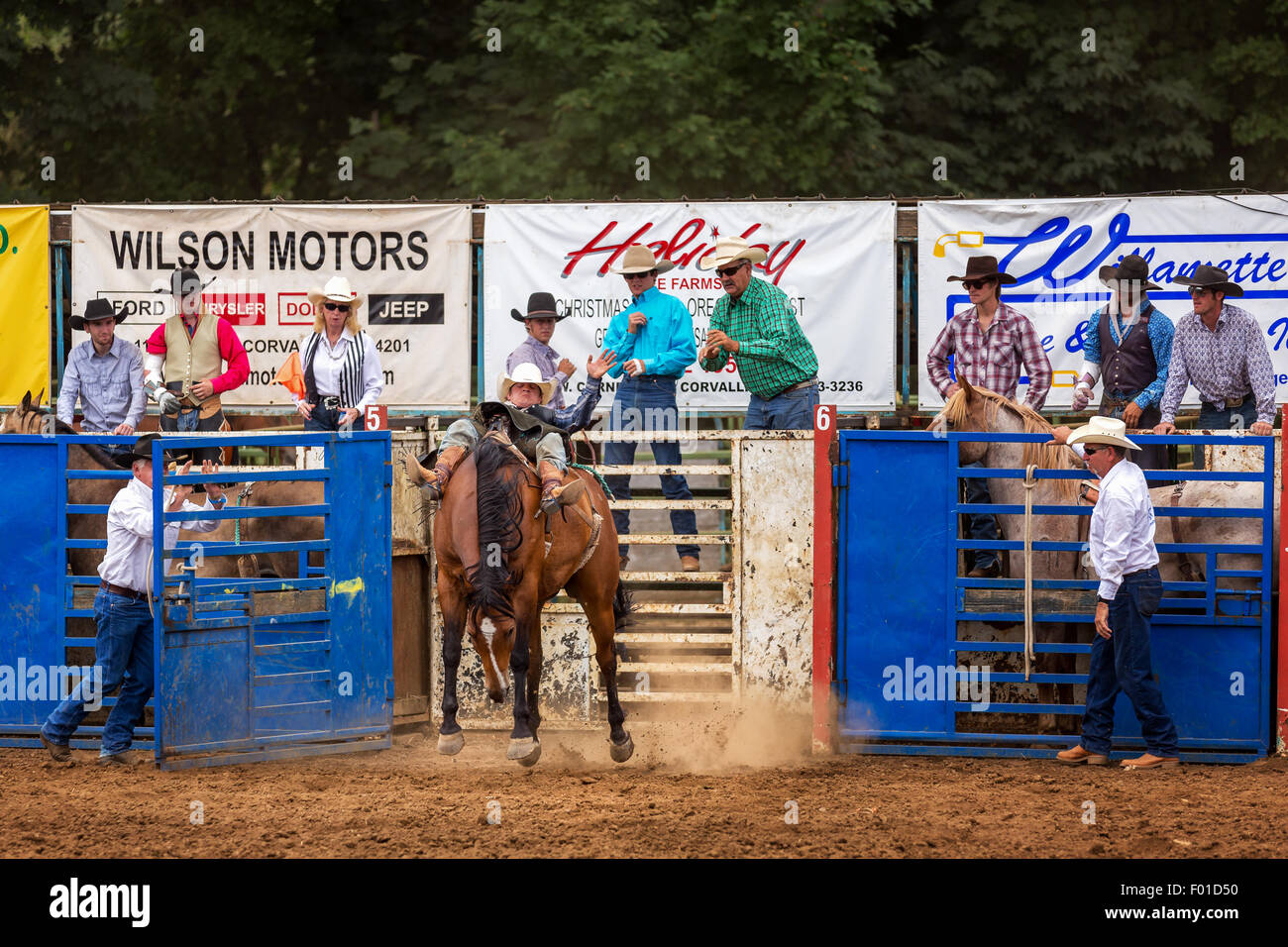 Bareback Bronc Wettbewerb, Morris Rodeo, Oregon, USA Stockfotografie ...