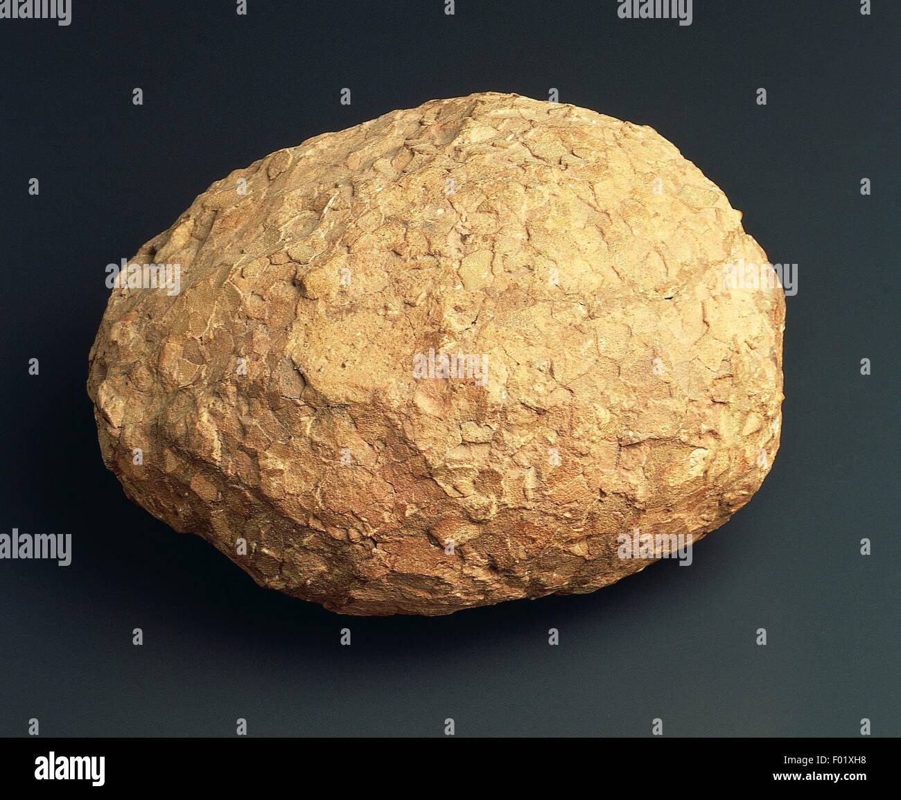 Die kreidezeit -Fotos und -Bildmaterial in hoher Auflösung – Alamy