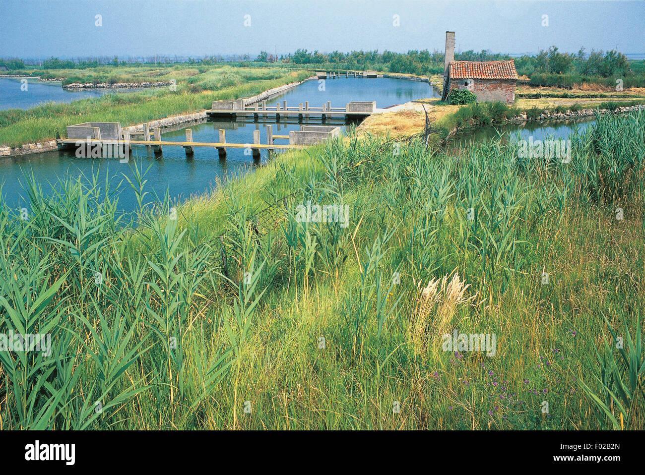 Po delta regional park -Fotos und -Bildmaterial in hoher Auflösung – Alamy