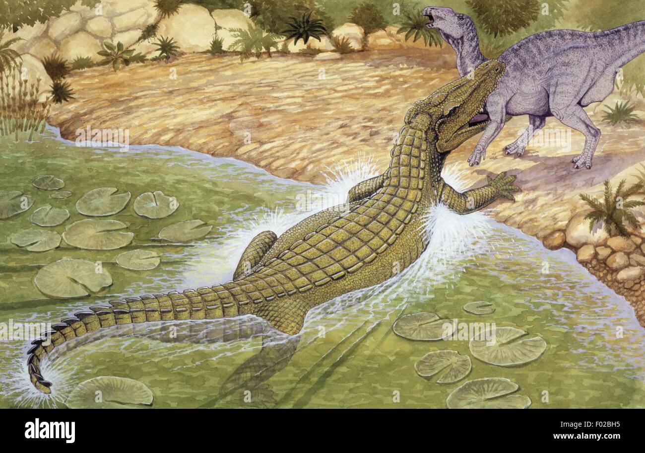 Palaeozoology - Kreidezeit - Dinosaurier - Deinosuchus - Kunstwerk von ...