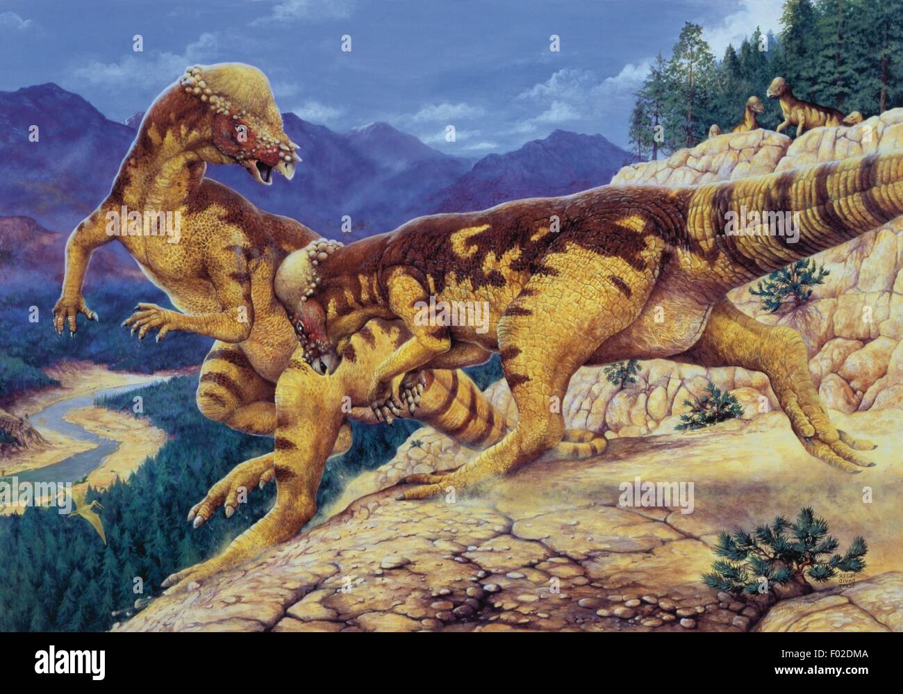 Palaeozoology - Kreidezeit - Dinosaurier - Pachycephalosaurus ...