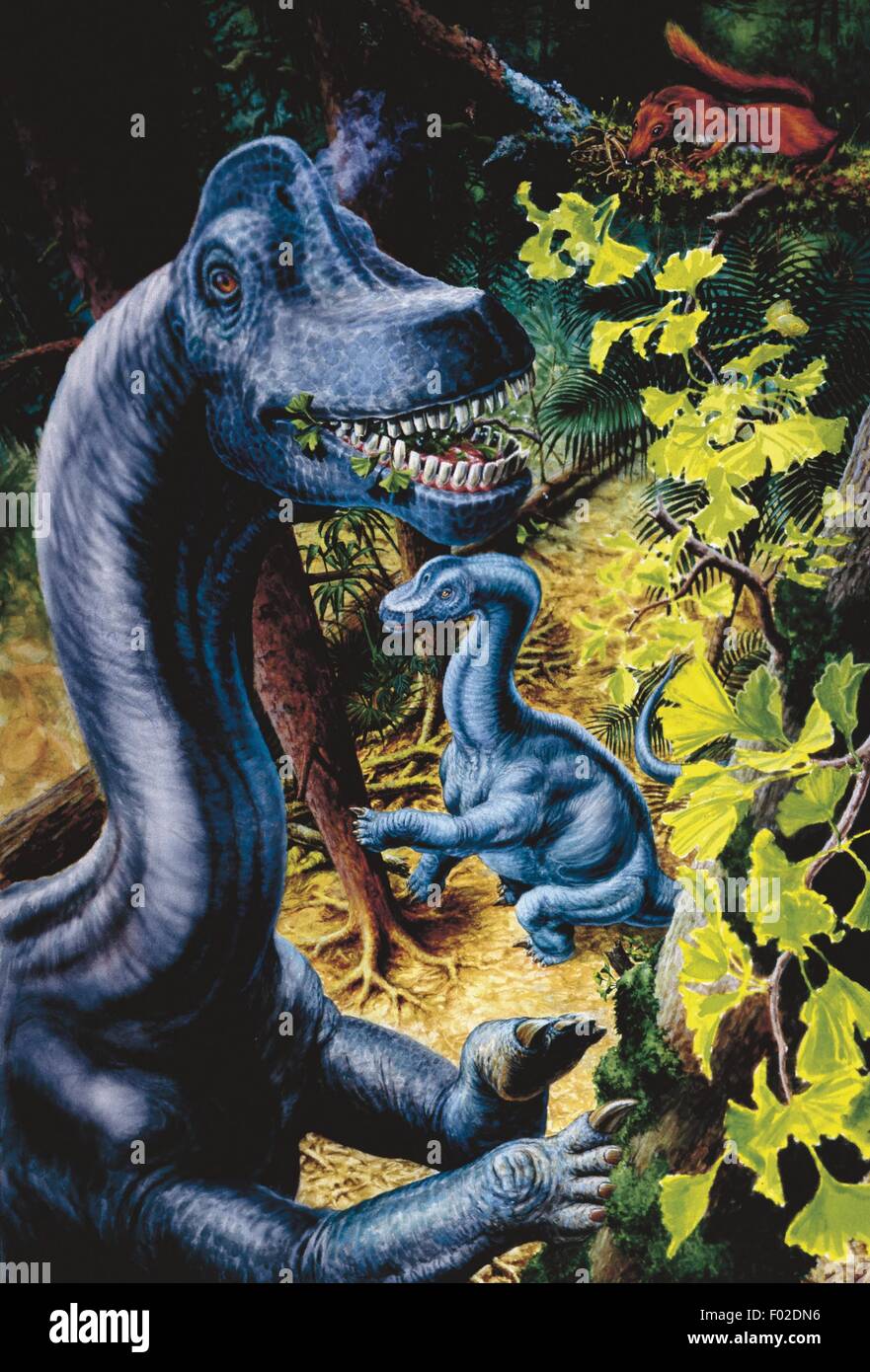 Palaeozoology - Jura-Zeit - Dinosaurier - Brachiosaurus - Kunstwerk von ...