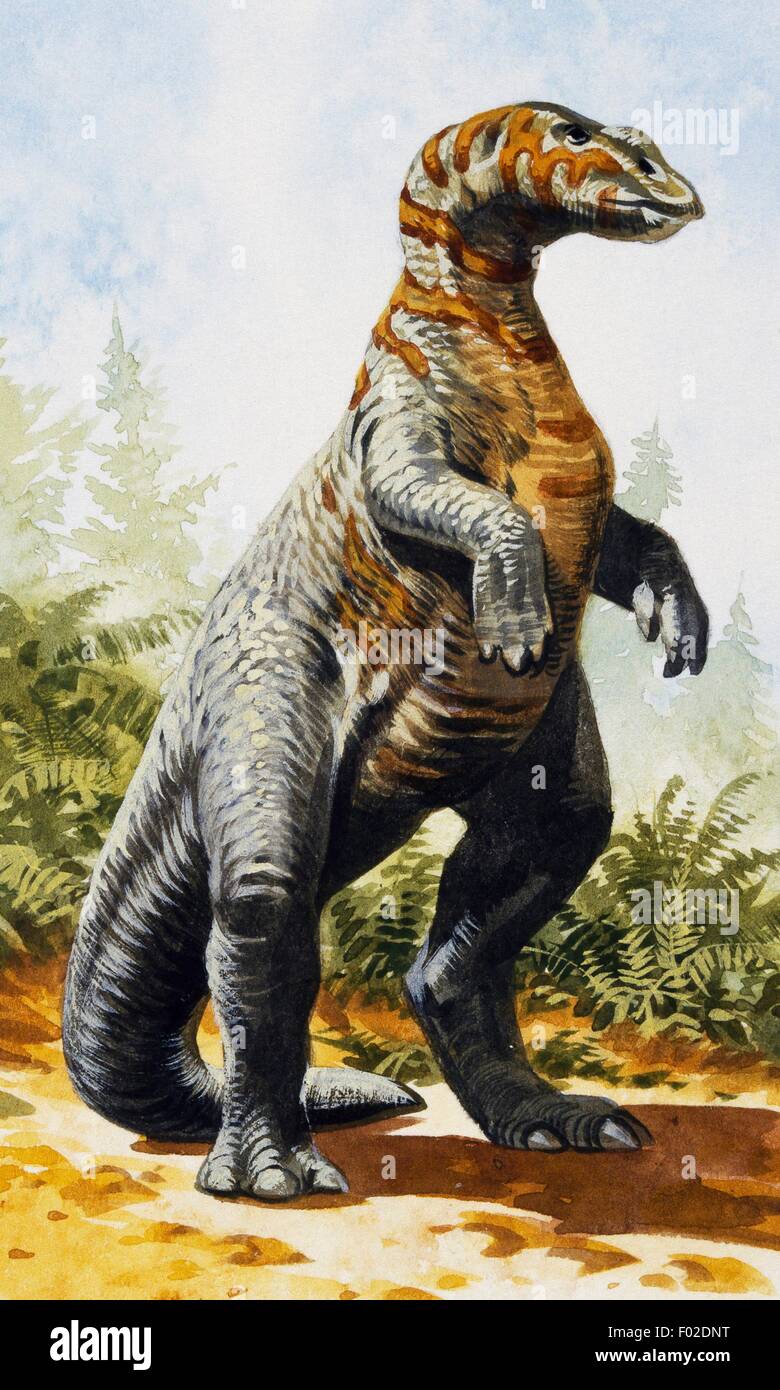 Kritosaurus sp, Hadrosauridae, späten Kreidezeit. Abbildung ...
