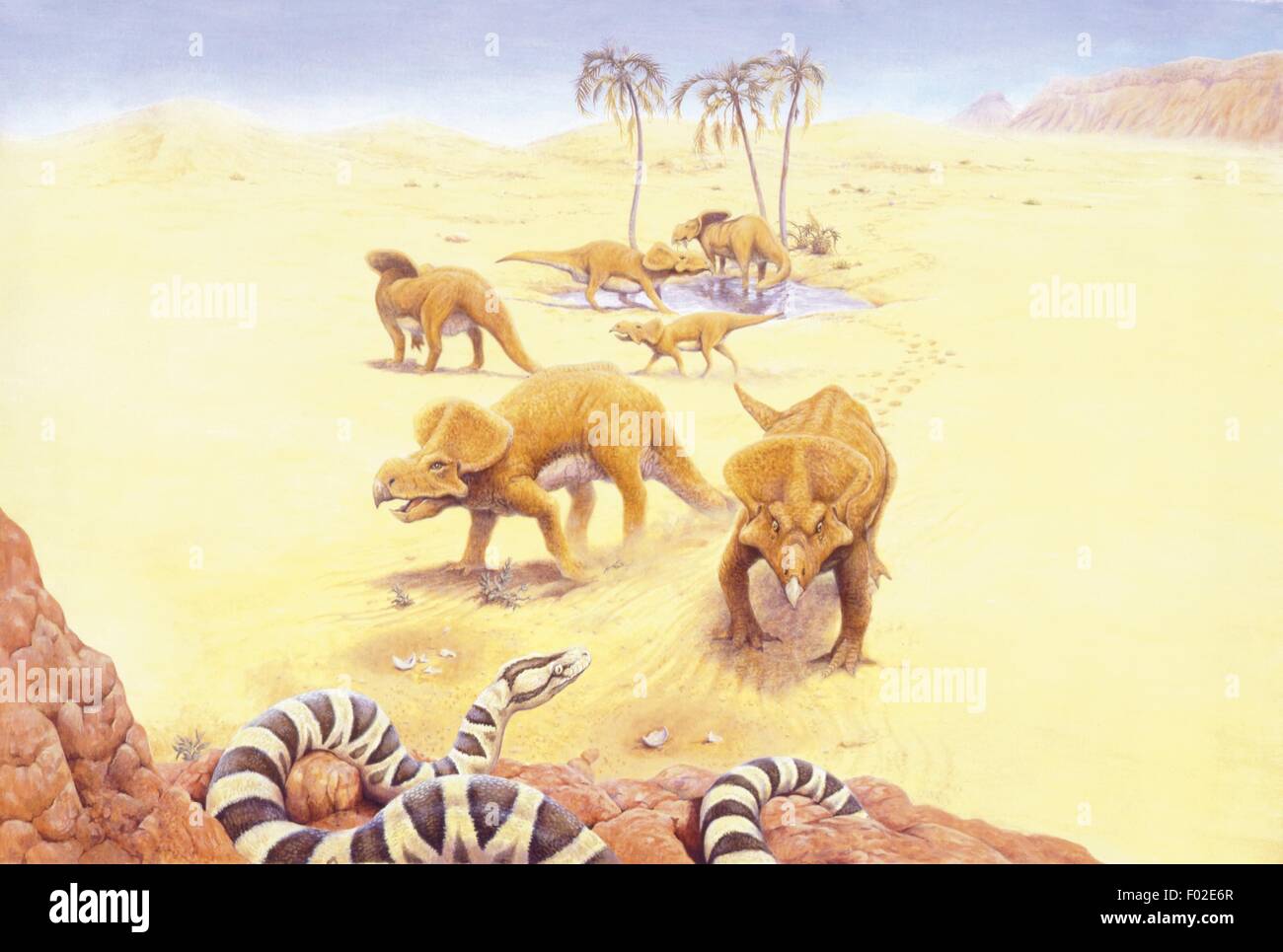 Palaeozoology Cretaceous Period Dinosaurs Stockfotos & Palaeozoology ...