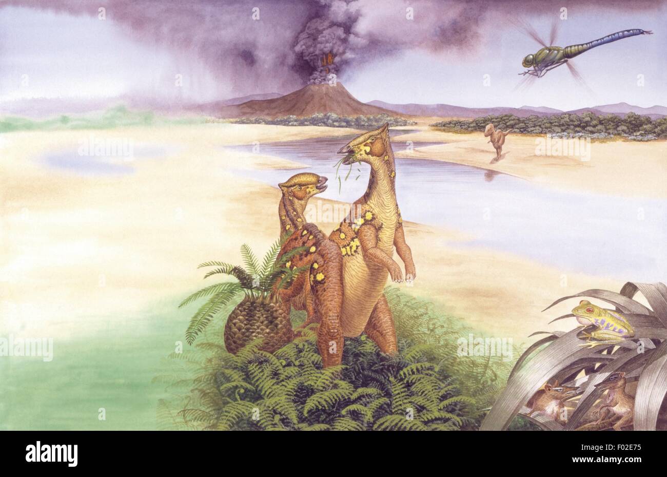 Palaeozoology cretaceous period dinosaurs -Fotos und -Bildmaterial in ...
