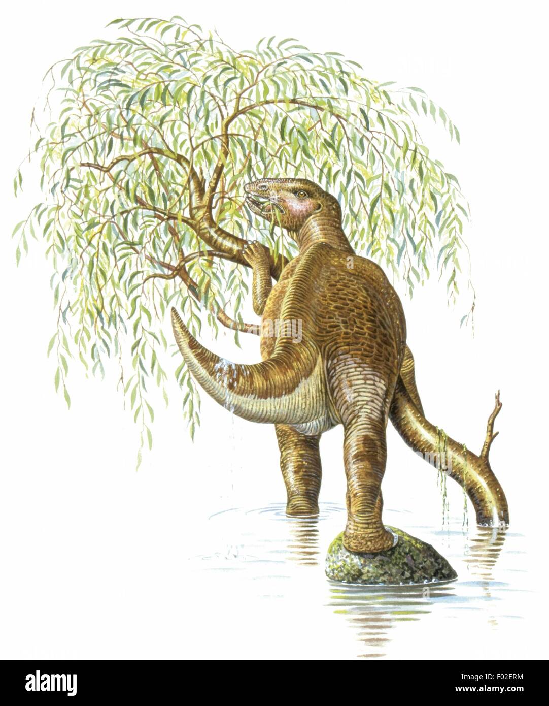 Palaeozoology - Kreidezeit - Dinosaurier - Tsintaosaurus - Kunstwerk ...
