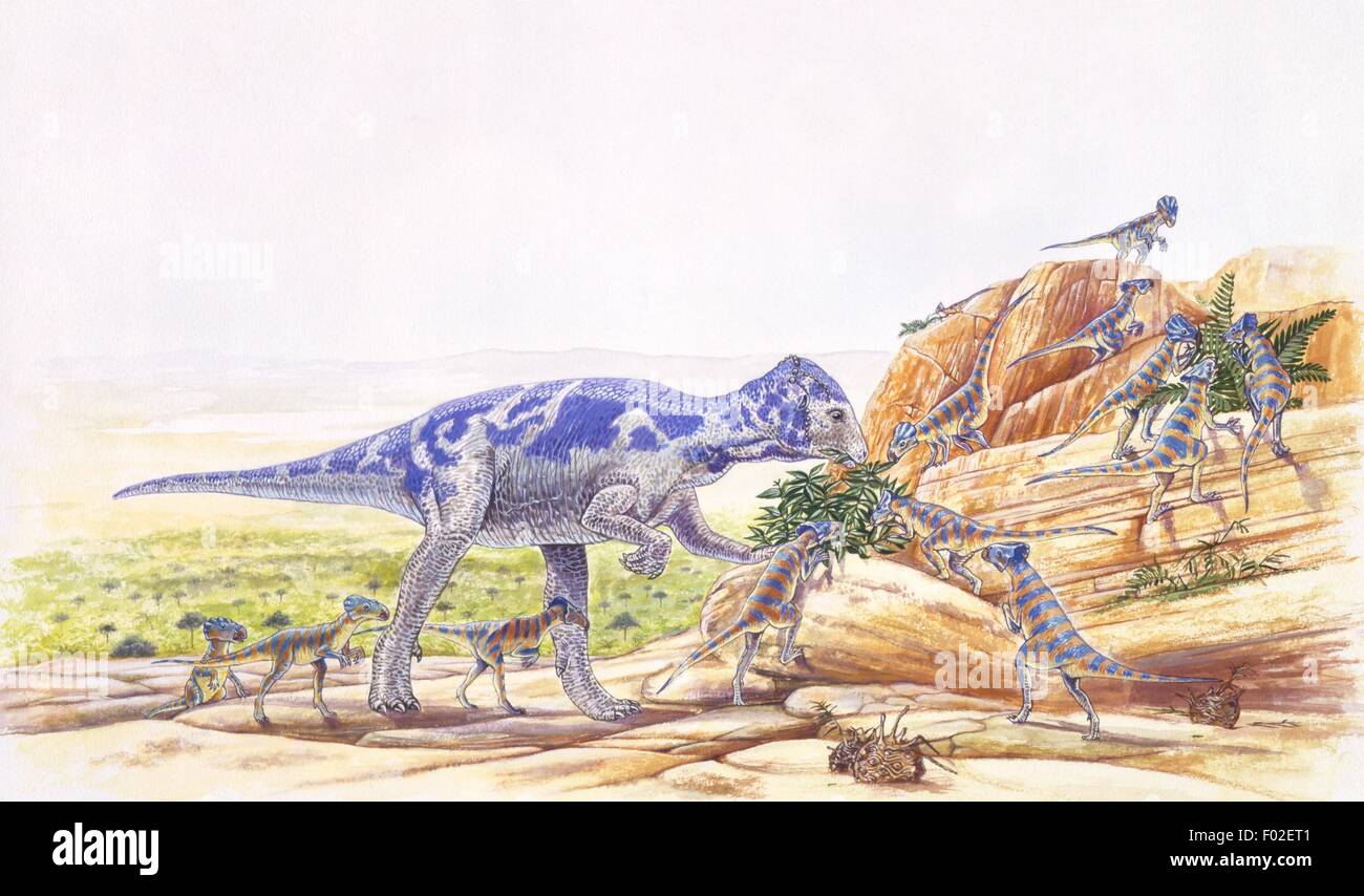 Palaeozoology cretaceous period dinosaurs -Fotos und -Bildmaterial in ...