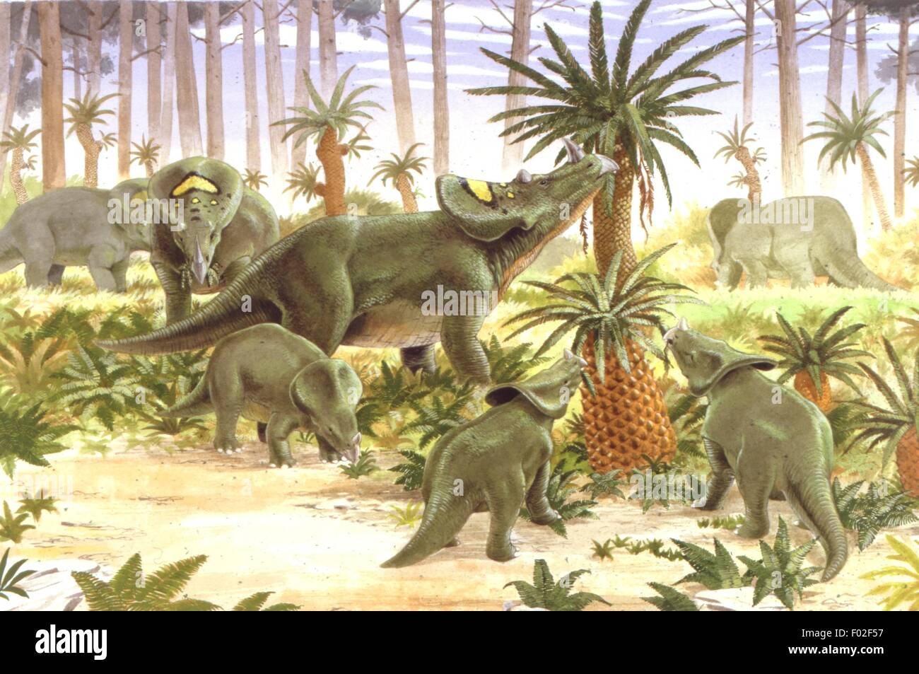 Palaeozoology cretaceous period dinosaurs -Fotos und -Bildmaterial in ...