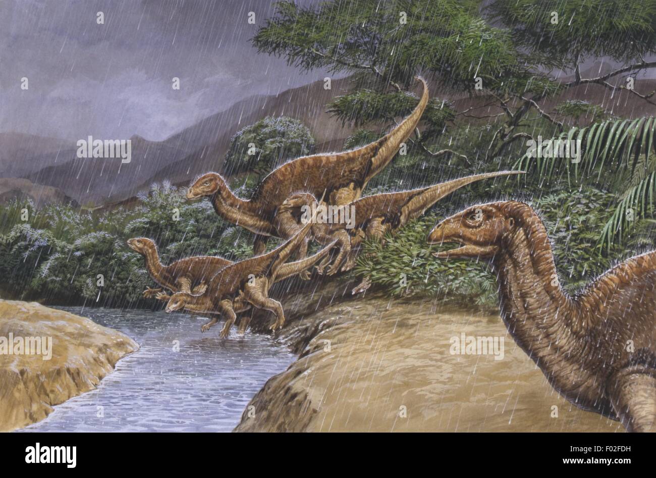 Palaeozoology Cretaceous Period Dinosaurs Stockfotos & Palaeozoology ...