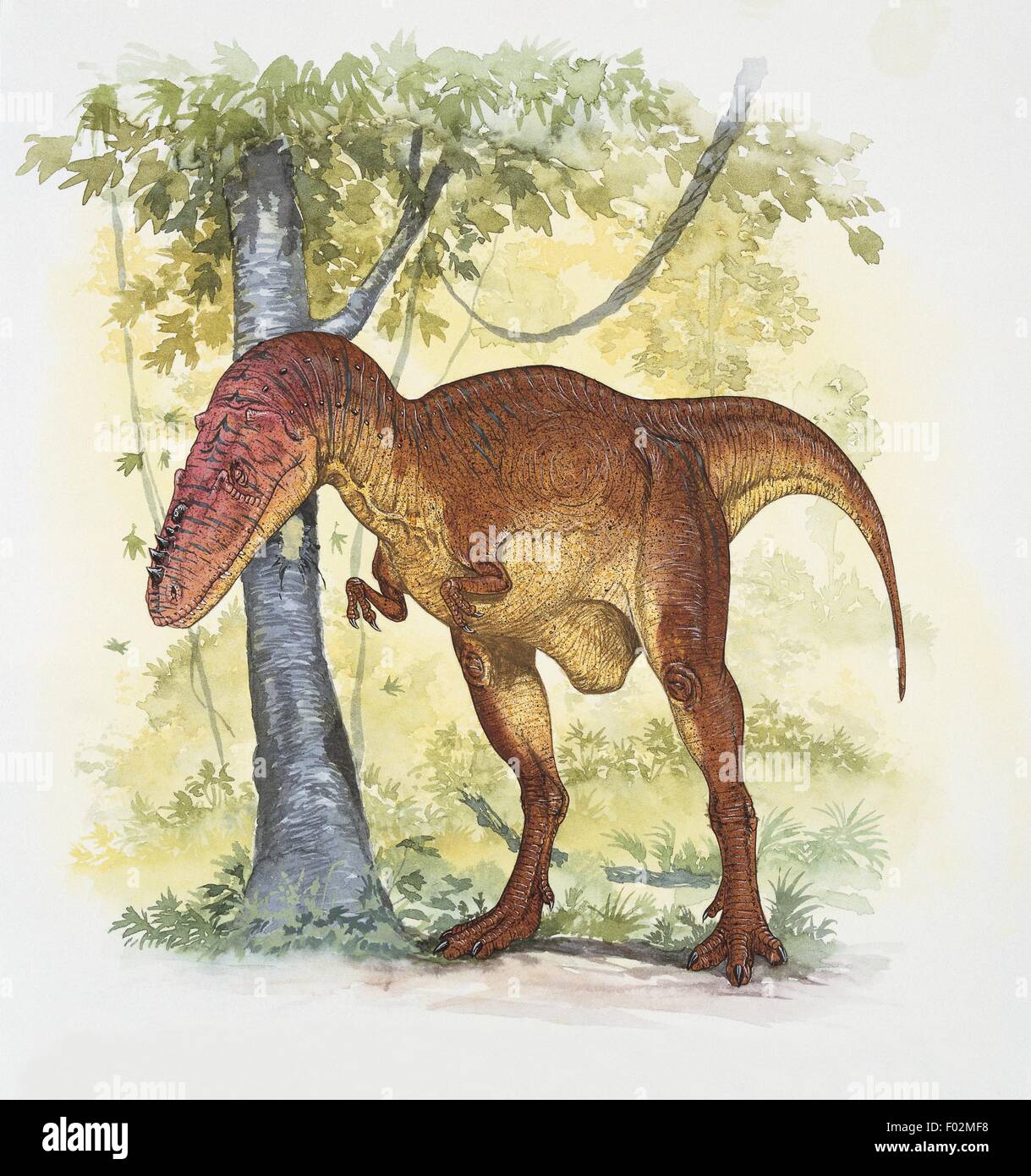Palaeozoology - Kreidezeit - Dinosaurier - Alioramus (Kunstwerk von ...