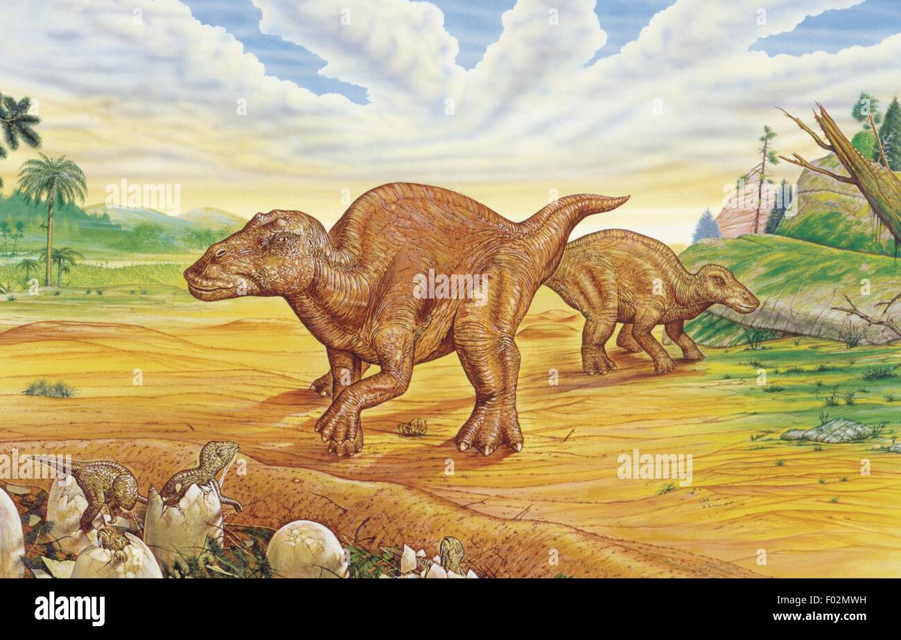 Palaeozoology cretaceous period dinosaurs -Fotos und -Bildmaterial in ...