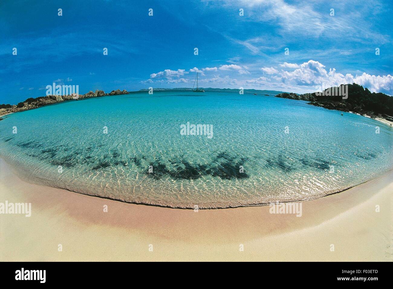 Spiaggia rosa in der budelli insel -Fotos und -Bildmaterial in hoher ...