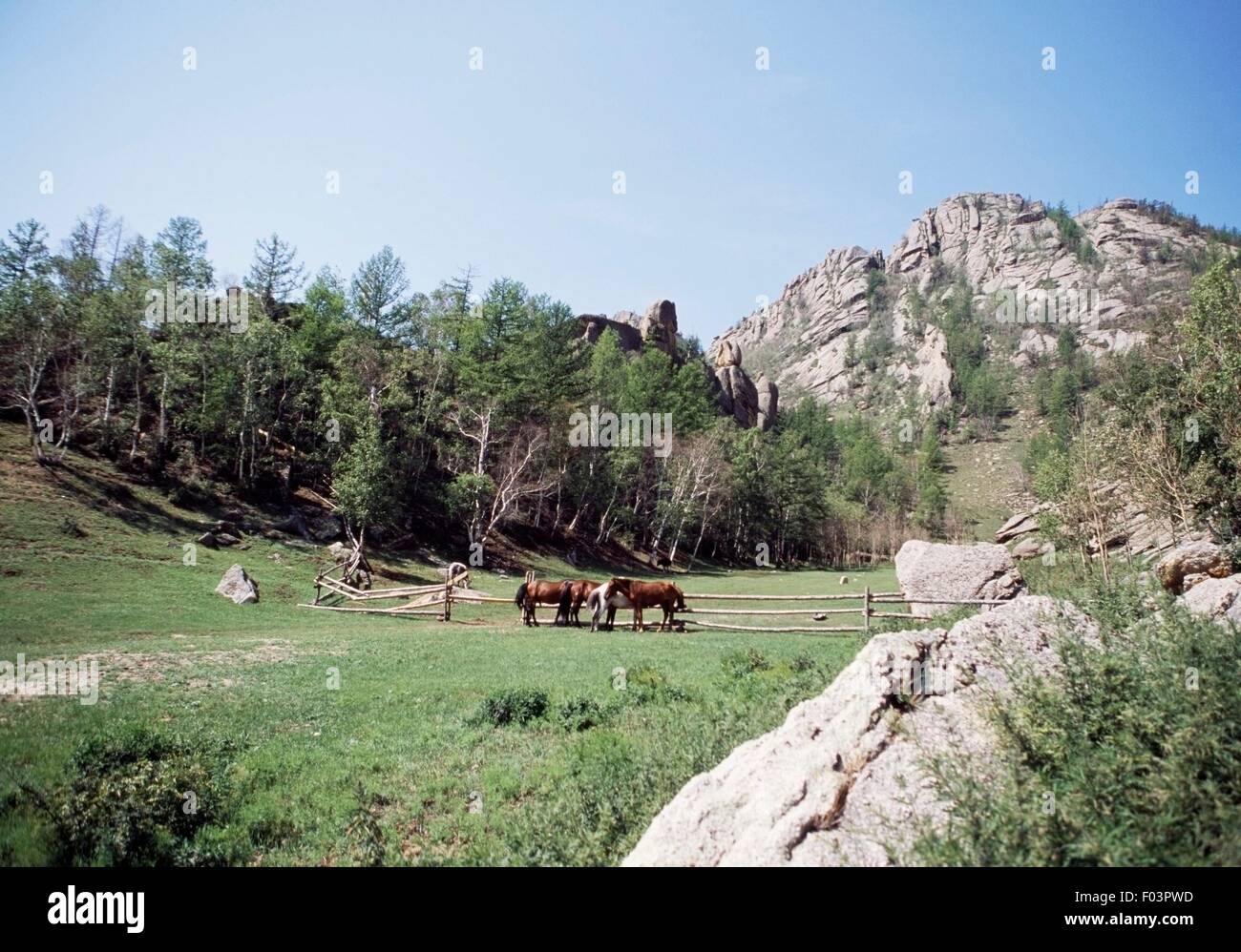 Khangai gebirges -Fotos und -Bildmaterial in hoher Auflösung – Alamy